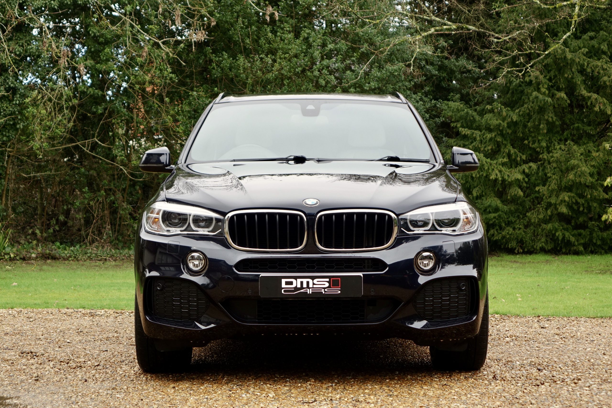 BMW X5 xDrive30d M Sport Auto | DMS Cars